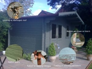 Log cabin inspection service